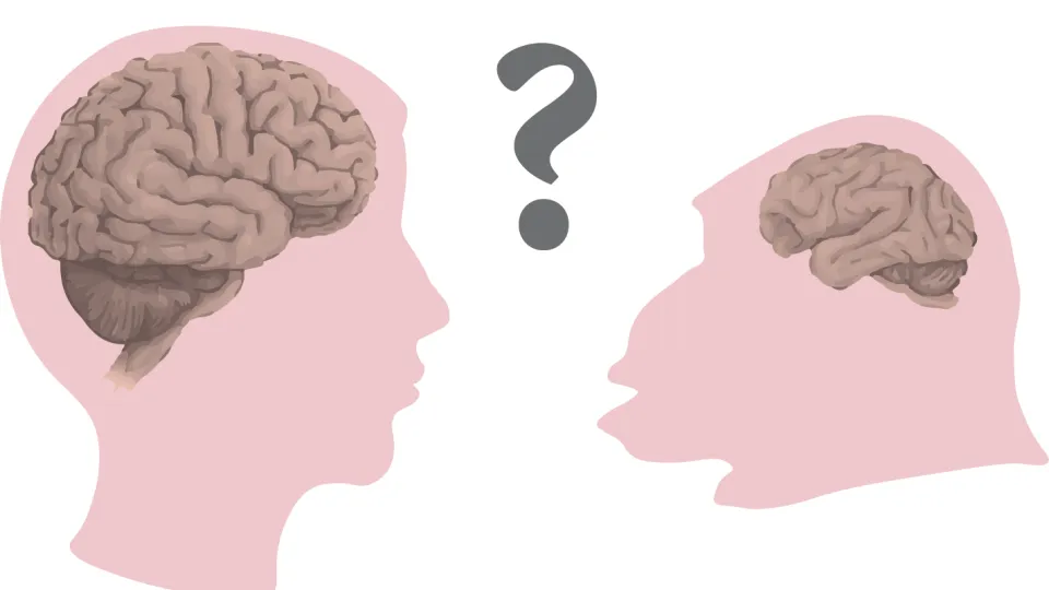 What makes the human brain different to the brain of chimpanzee? | Lund Stem Cell Center